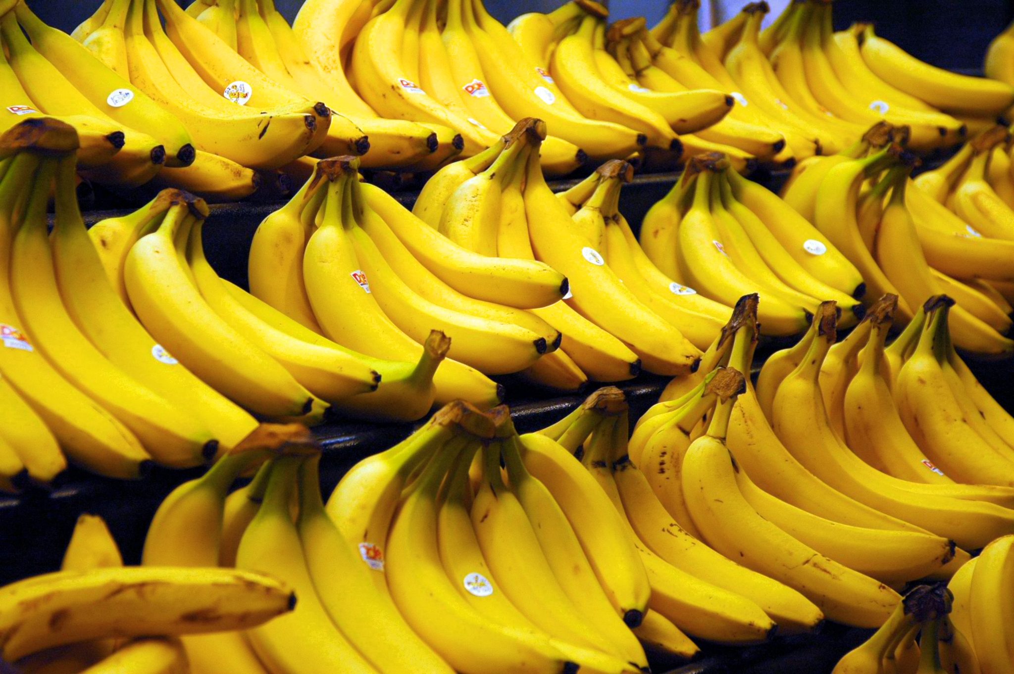 Banano supera sus cifras de envíos en el 2024 - FreshFruit